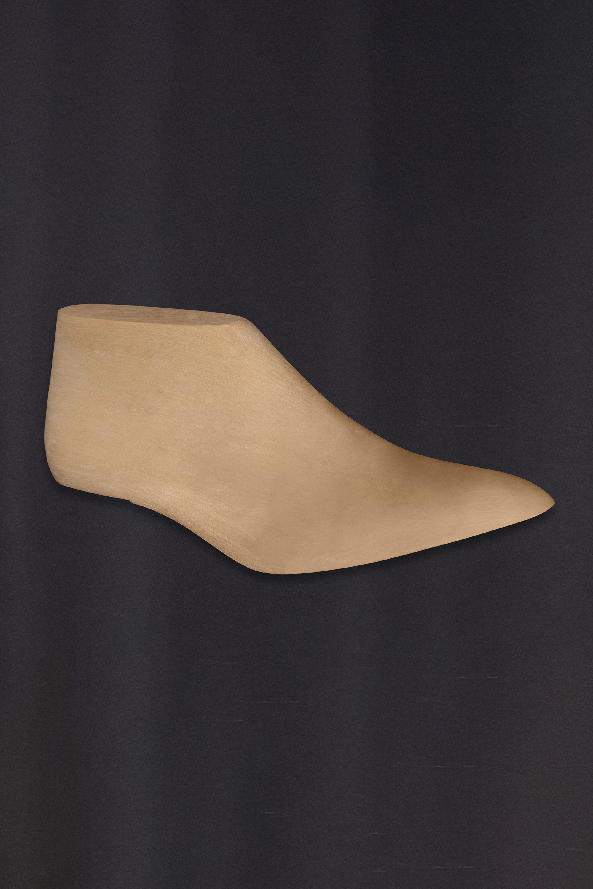 Shoe Lasts – Springline